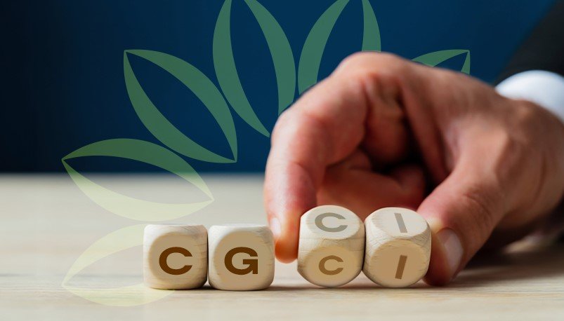 La CGCI-PME a garanti plus de 35 milliards DA de crédits en 2024 ...